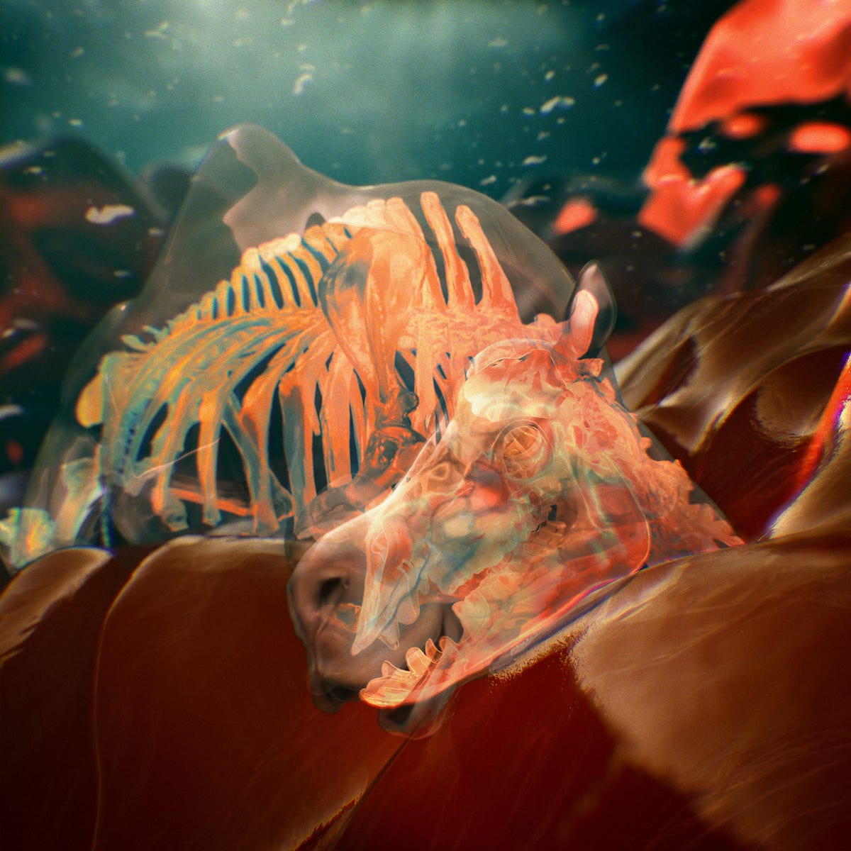 Kroi、アニメ『SAND LAND: THE SERIES』OPテーマ「Water Carrier」Spotifyシェアキャンペーン開催 - Real Sound｜リアルサウンド