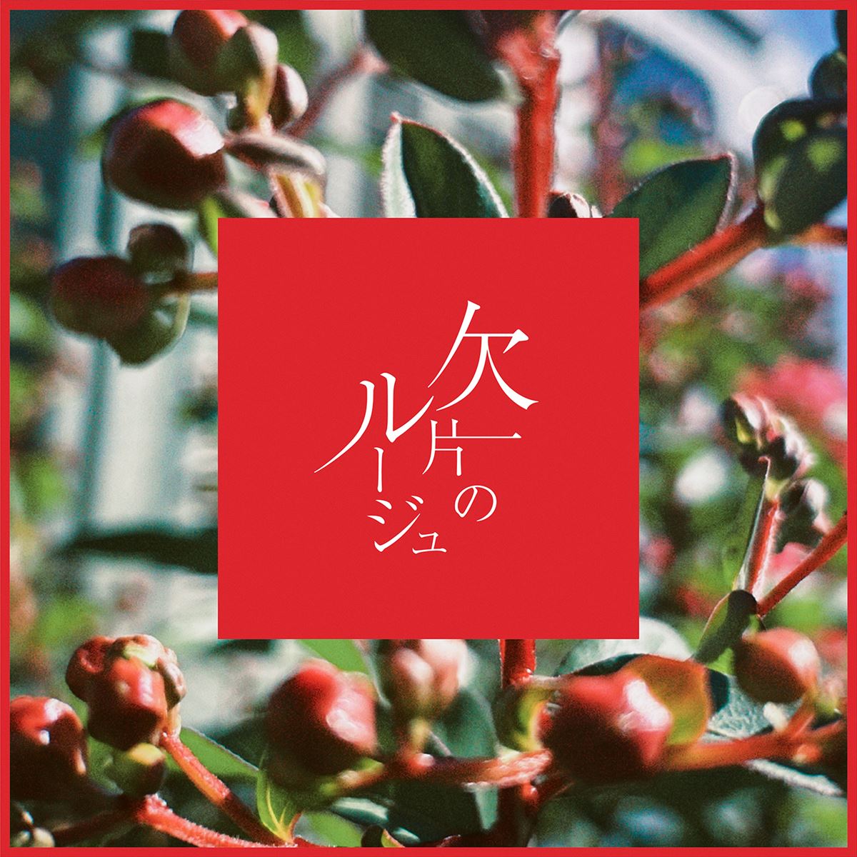 bokula. “失われた恋愛”描いた新曲「欠片のルージュ」配信リリース FM802でラジオ初OAも - Real Sound｜リアルサウンド